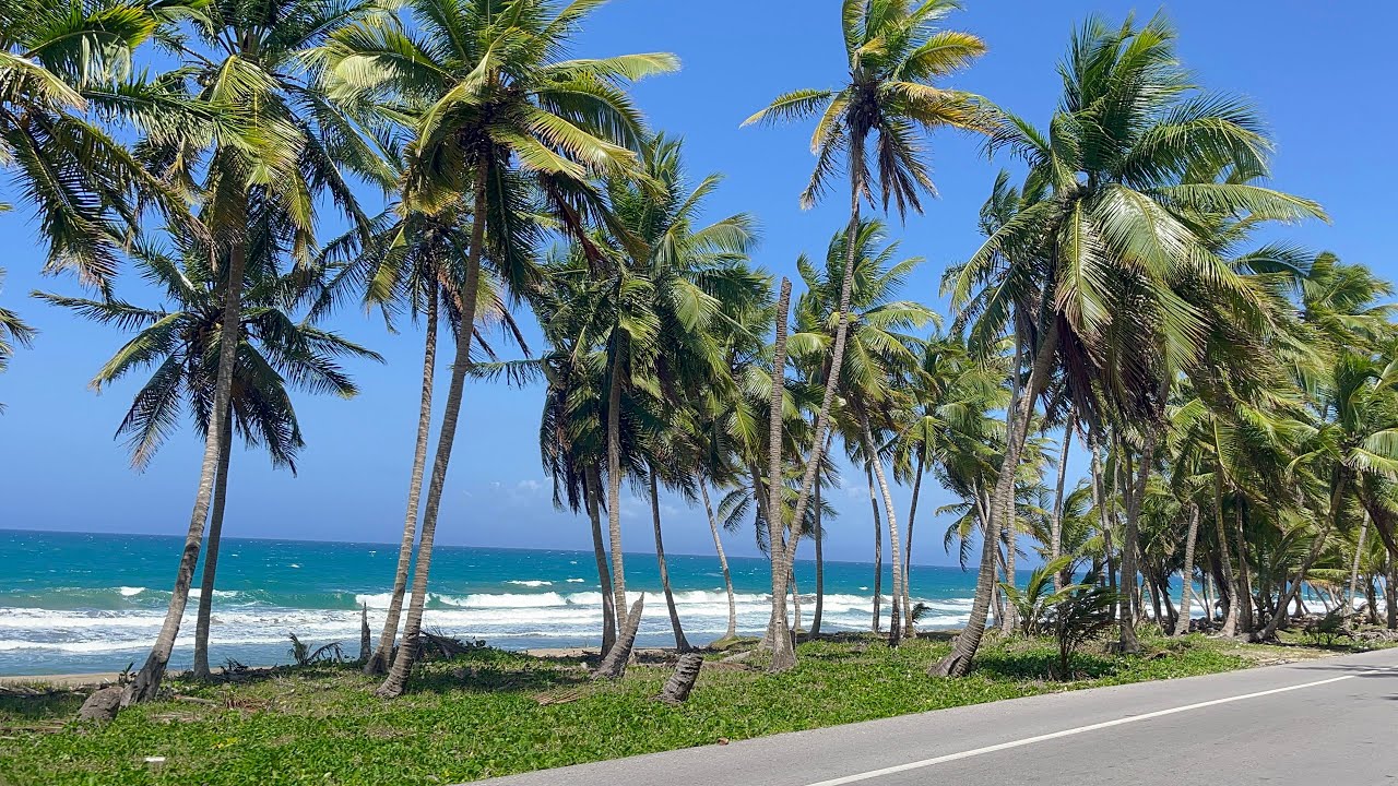 Lizandro El Cantante El Jeans - YouTube