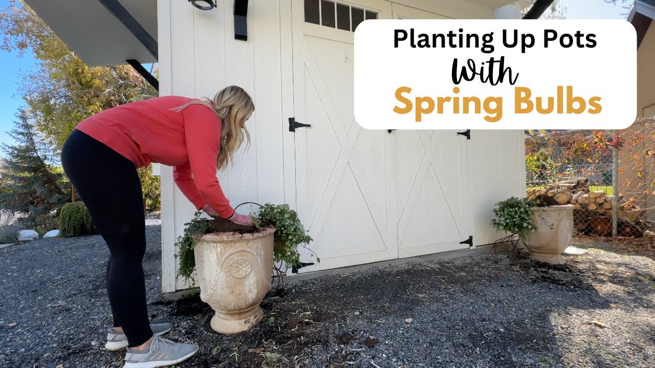 Planting Up Pots with Spring Bulbs! 💐 Daffodils, Tulips and Hyacinth ...