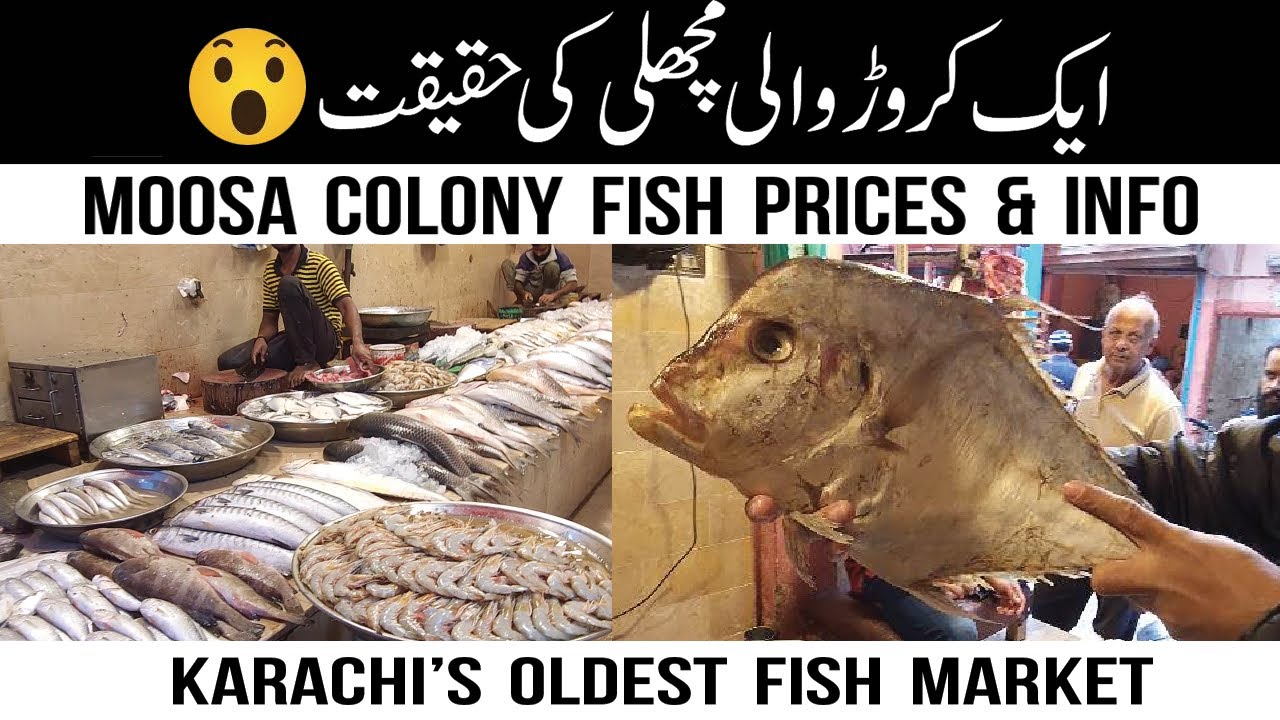 Oldest Fish Market Mossa Colony / Fish Market Karachi / Fish Price and ...