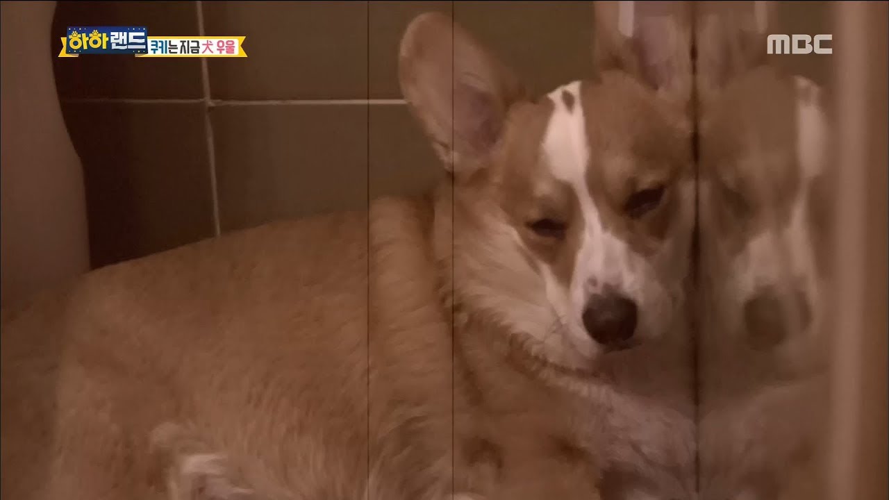 [Haha Land] 하하랜드 - Have a gloomy day20180103 - YouTube