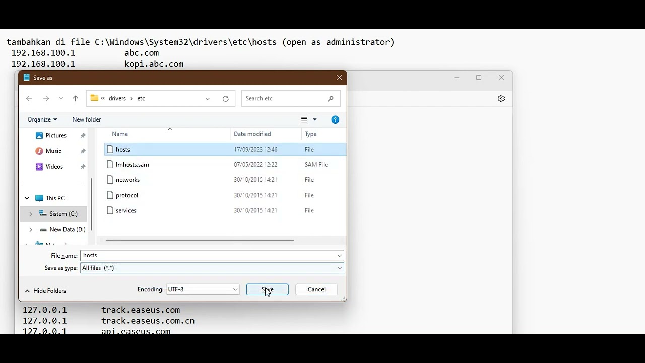 Installasi Konfigurasi web CMS wordpress di CPANEL EHCP part 3 - YouTube