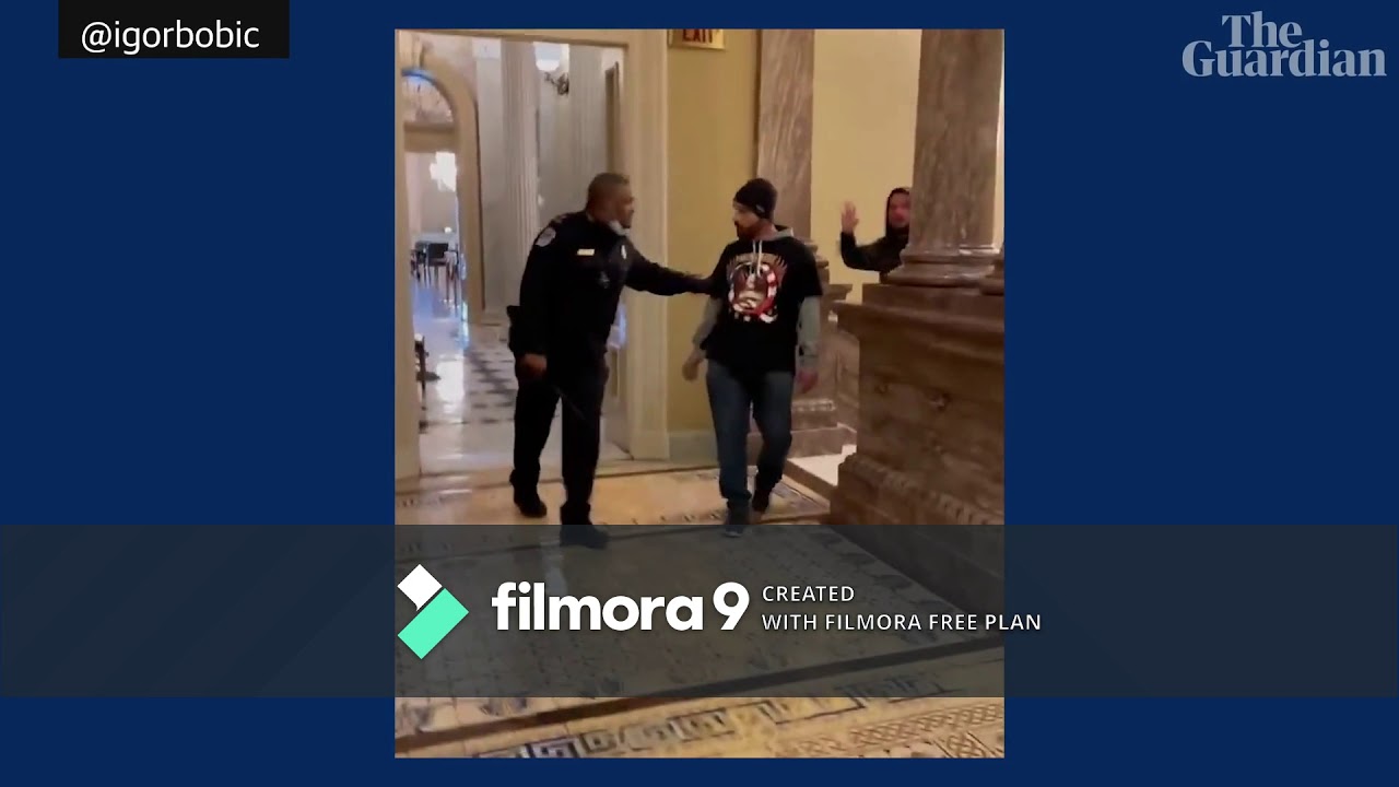 Capitol Hill Hero cop during the DC riot last 06 Jan 2021 - YouTube