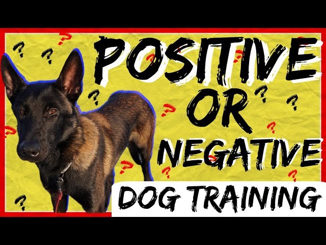 Are Time Outs In Dog Training Positive Or Negative Punishment