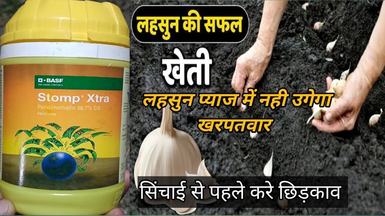 Stomp Xtra Herbicide BASF/लहसुन प्याज मे रोपाई के बाद सिंचाई से पहले ...