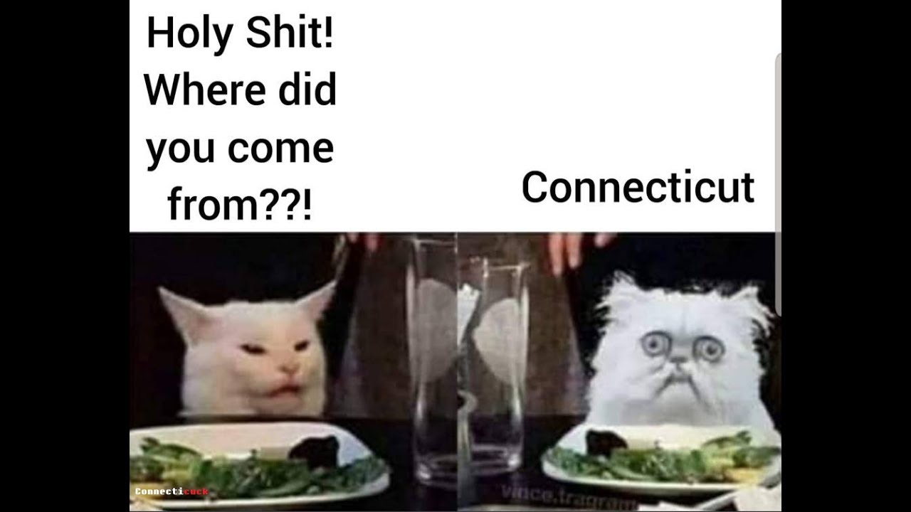 Connecticut Memes Compilation - November 2019 - YouTube