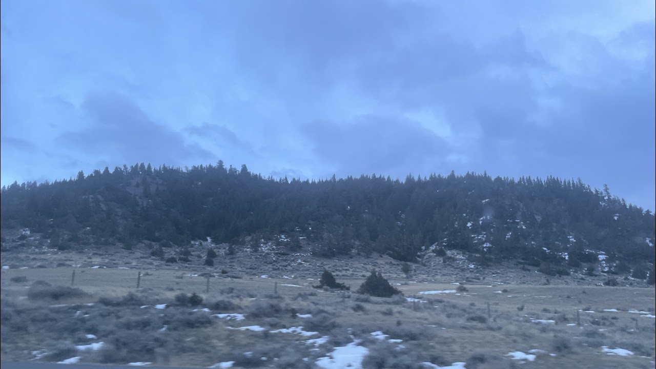 Avatar day 12 - YouTube