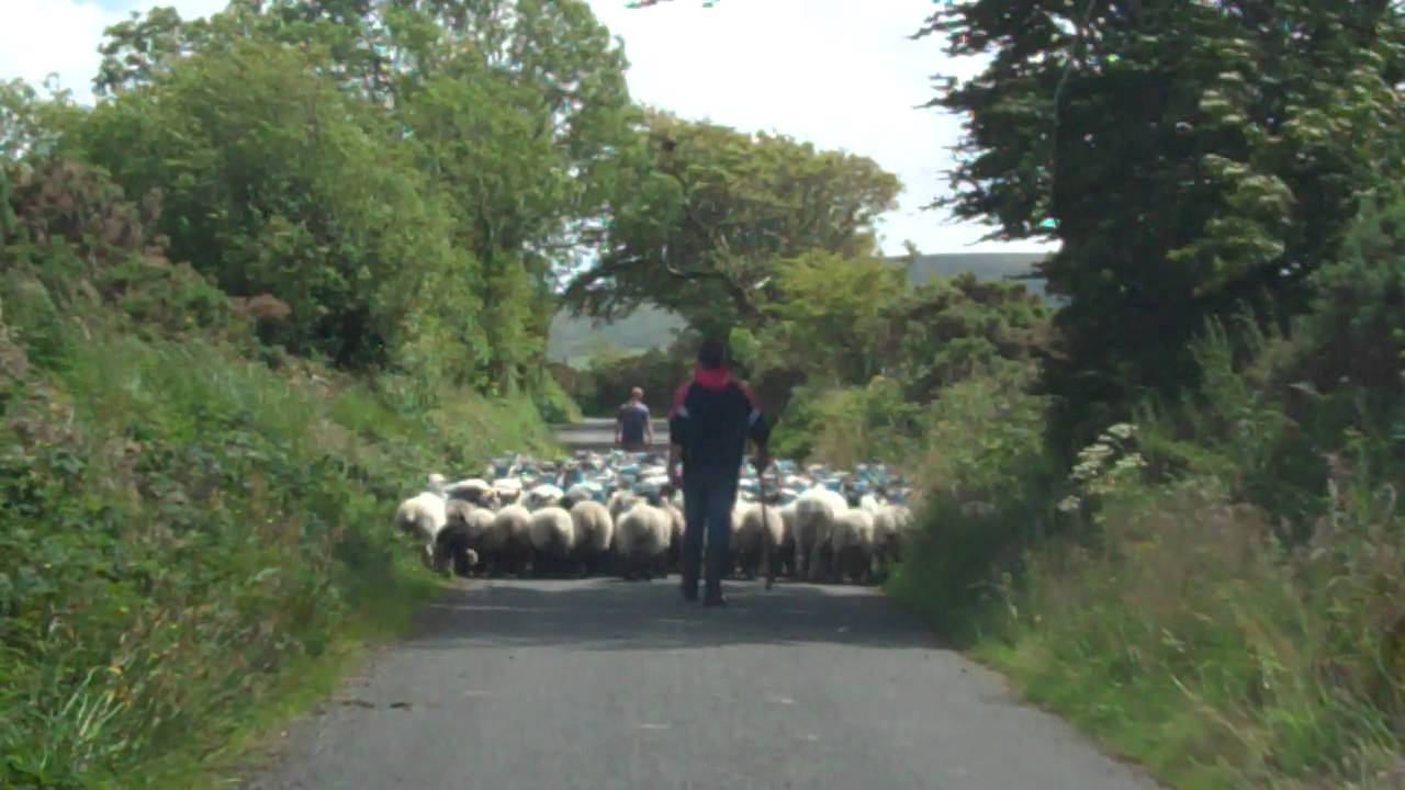 Irish Traffic Jam Millstreet, Cork 2011 - YouTube