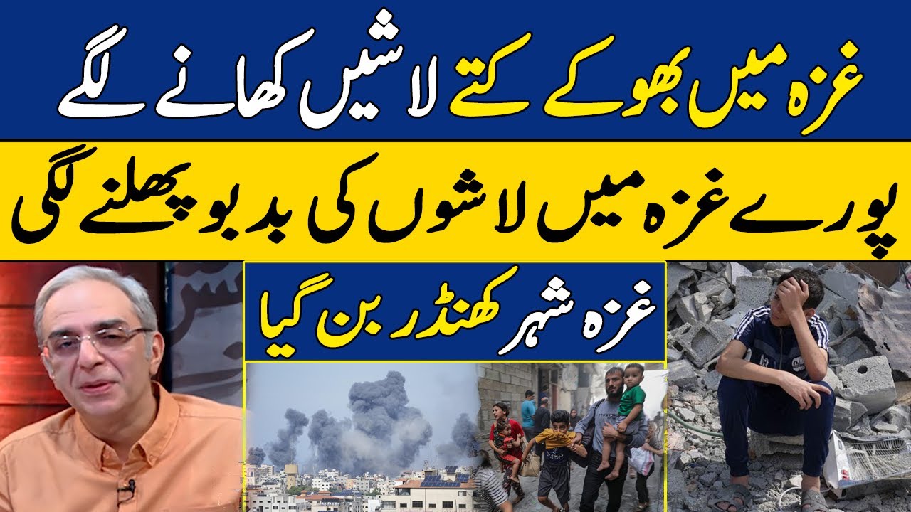 Inside Report | Smell in Gaza | Israel Conflict | | Gaza Updates | Zara ...