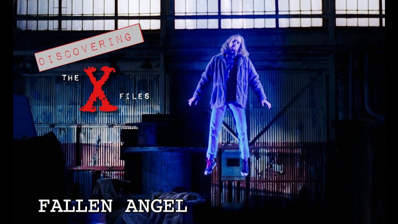 Fallen Angels 1993 Dvd Discounted Order | www.pinnaxis.com