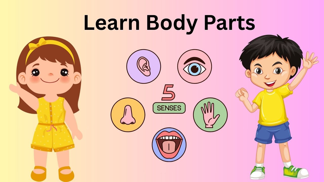 🌟My Body Song for Kids | Learn Body Parts with Fun Rhymes & Actions ...