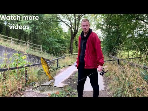 Uk fishing- trapping my biggest fish yet, stream fishing on a farmers ...