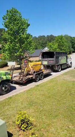 United Tree Pro Service LLC - YouTube