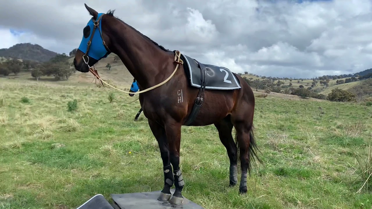 Jeteye (Lukey) and Tullio - Race to Ranch Freestyle 2021 - YouTube