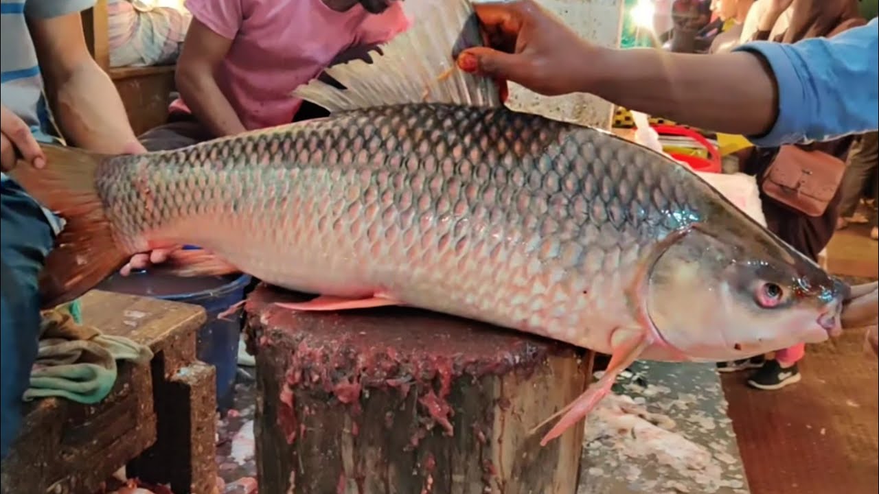 How To Cut Rohu Fish With Knife At Home | Amazing Fish Cutting Skills ...