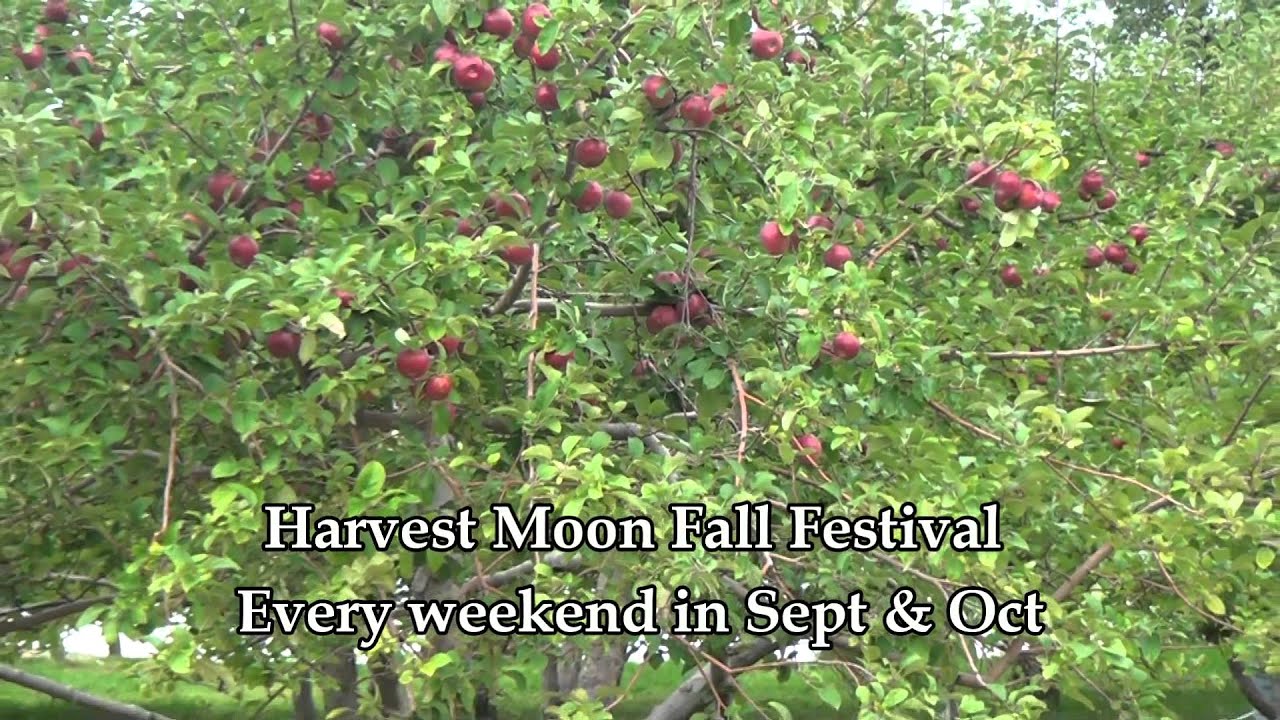 Fall Festival at Harvest Moon Farm & Orchard in North Salem, NY - YouTube