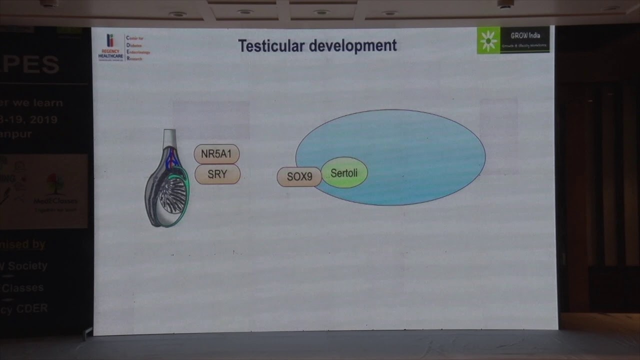 MedEClasses Advanced Pediatric Endocrinology Symposium DSD Pathophysiology Dr Anurag Bajpa - YouTube