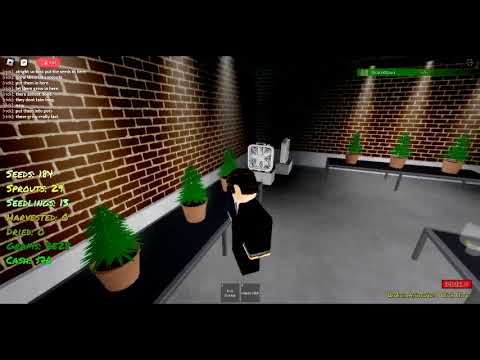 weed dealing in roblox - YouTube