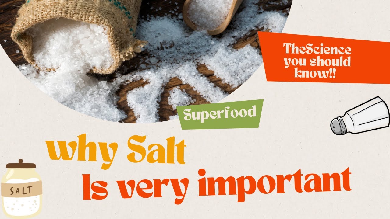 Why Salt Is Essential for Your Health: The Science You Need to Know ...