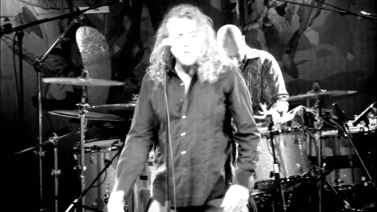 Robert Plant | You Can't Buy My Love (Official Performance Video) - YouTube