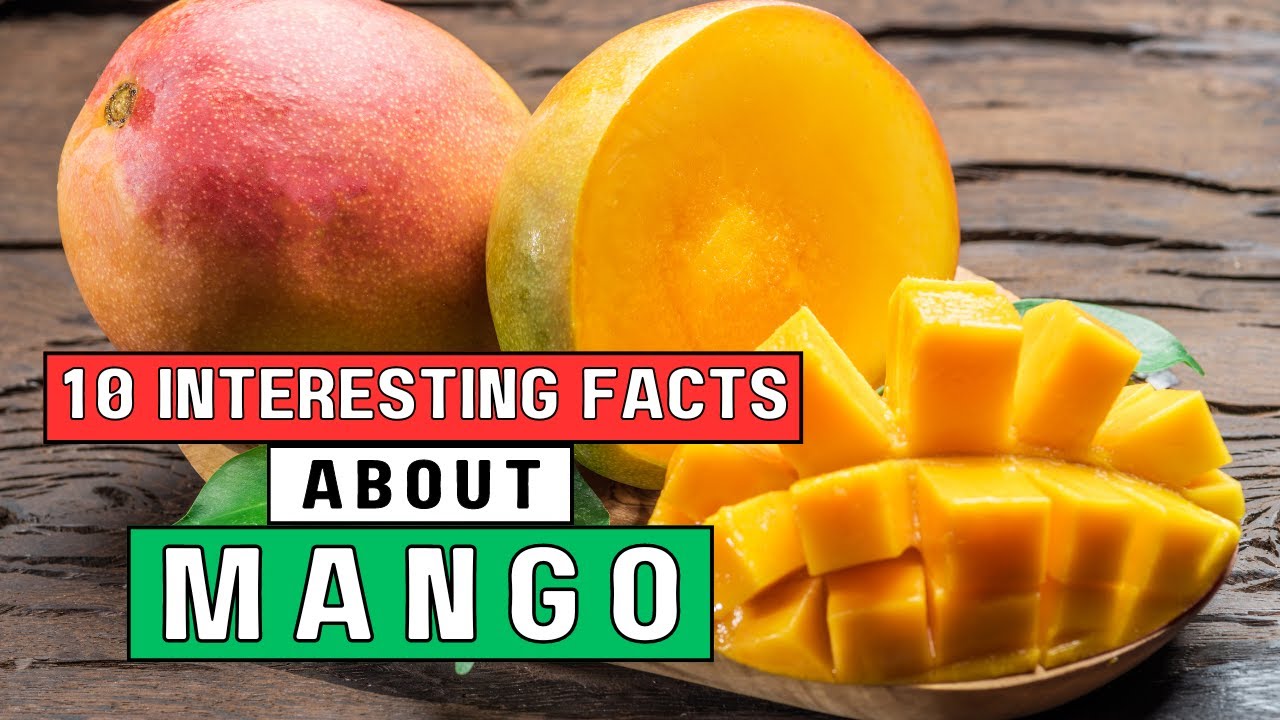 10 INTERESTING FACTS ABOUT MANGO - YouTube