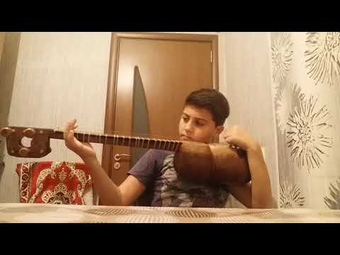 Tarda kurtlar vadisi