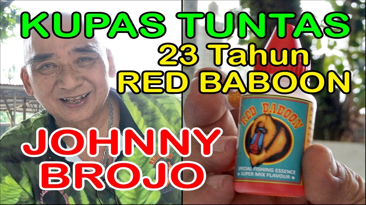 Bincang Seru Kupas Tuntas Essen Red Baboon Bersama Johnny Brojo - YouTube