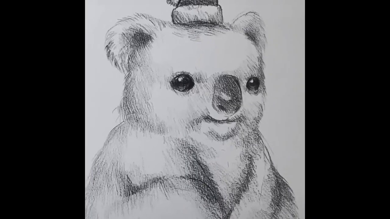 Drawing little animals - YouTube