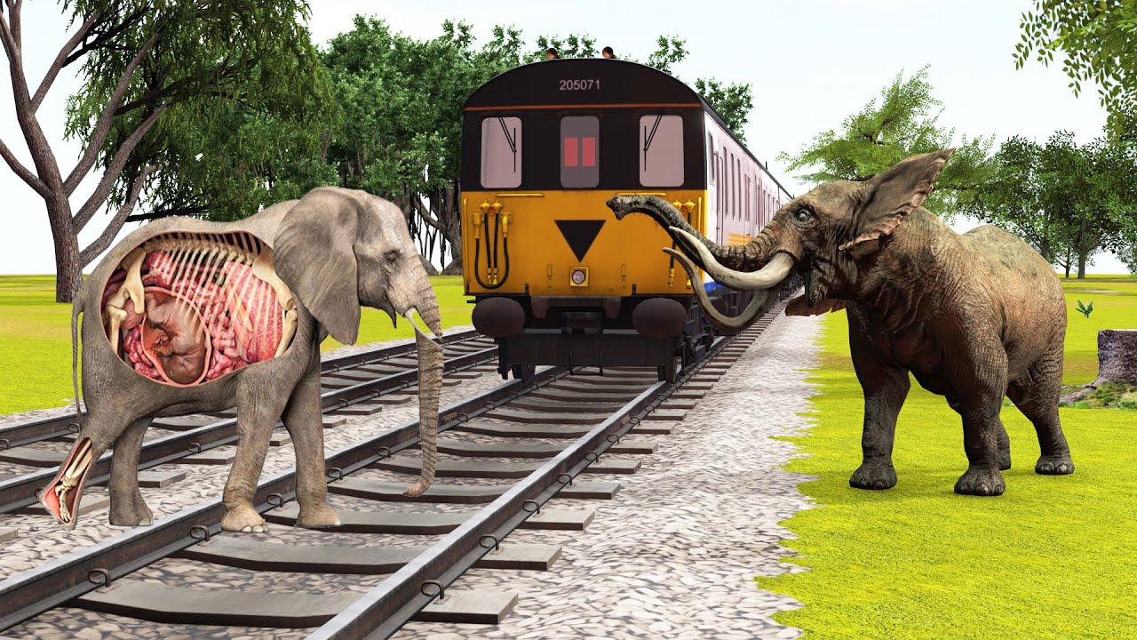 Lazy Elephant sit on Track& Mummy Elephant vs Train |Stops The Train ...