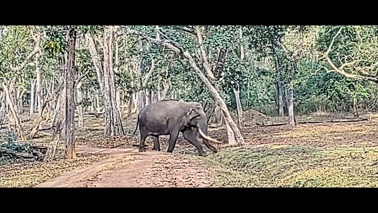 January 7, 2024(2) - YouTube