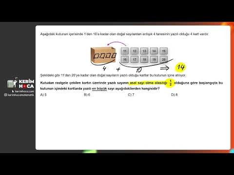 LGS Matematik Basit Olayların Olma Olasılığı 20260421 233210