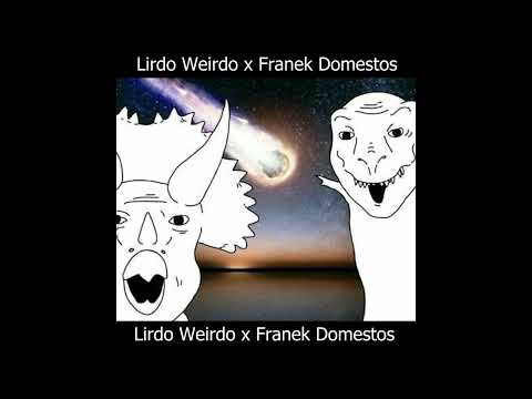 Lirdo Weirdo x Franek Domestos - W/D/K