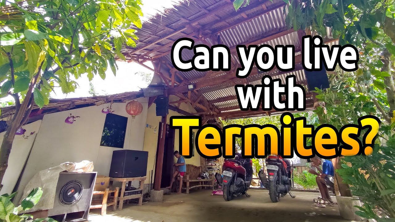 This is the place where SEFTV live! - YouTube