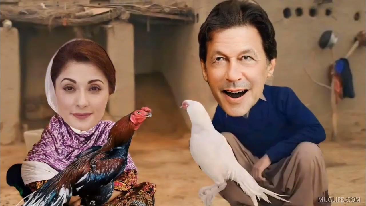 imran khan maryam nawaz murgha fight funny video - YouTube