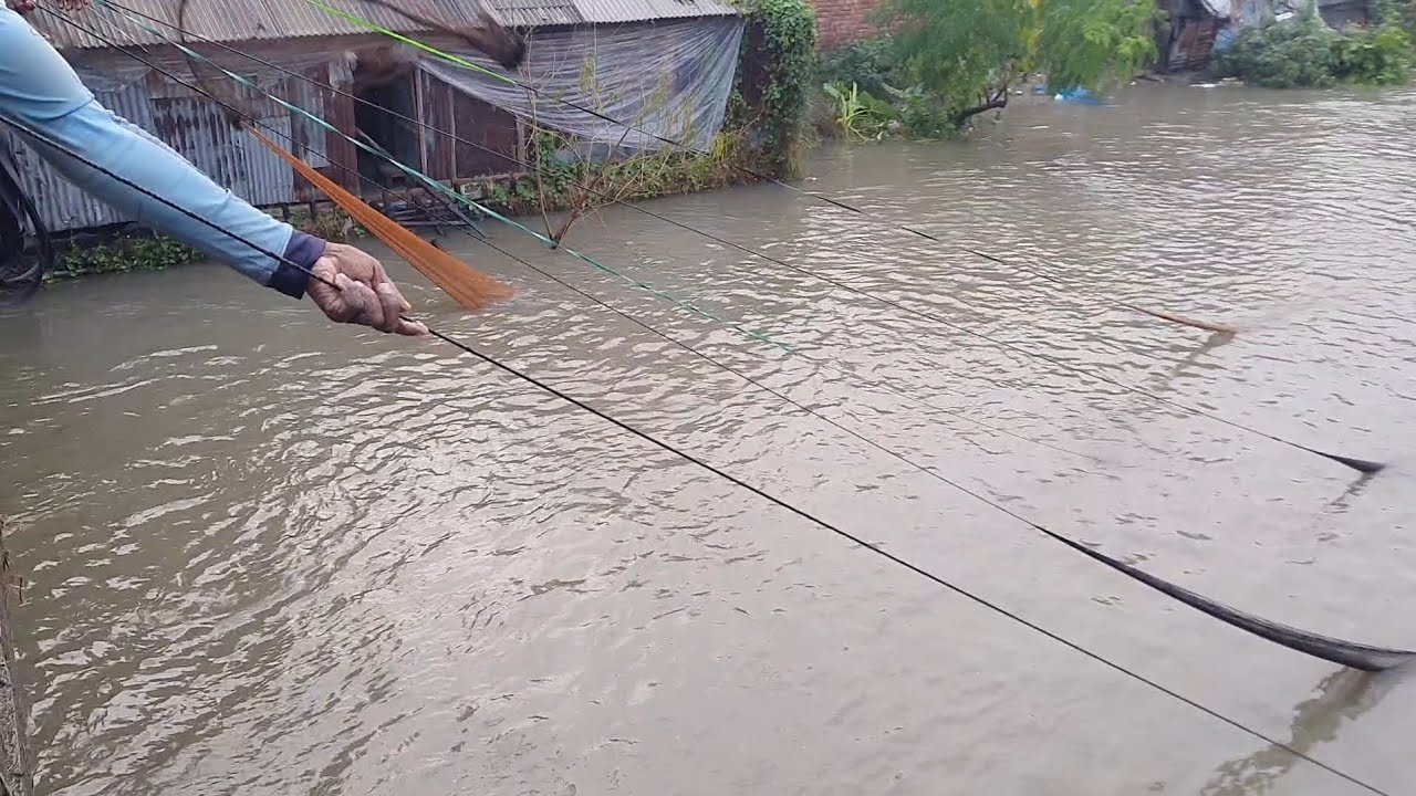 Best Fishing Video In Satkhira | Fishing Video In Satkhira | The ...