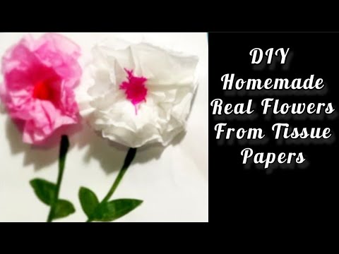 Paper flower Crafts | white flowers | pink flowers | Easy craft - YouTube