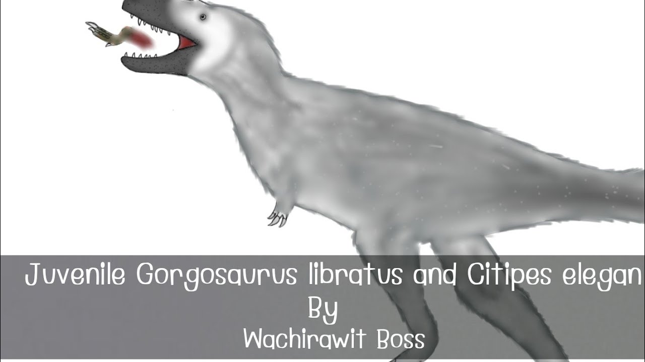 Speedpaint Juvenile Gorgosaurus libratus and Citipes elegan - YouTube