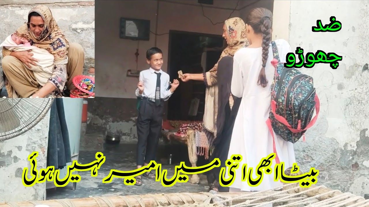 abhi main itni Amir Nahin Hui 😱😱|Maher Village Vlogs | - YouTube