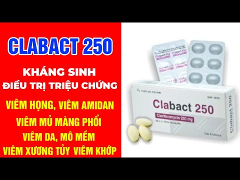 Clarithromycin 250 - Thuốc Clabact 500mg Kháng Sinh Điều Trị Các Triệu ...