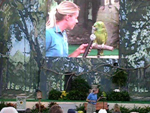 Groucho the singing parrot - YouTube