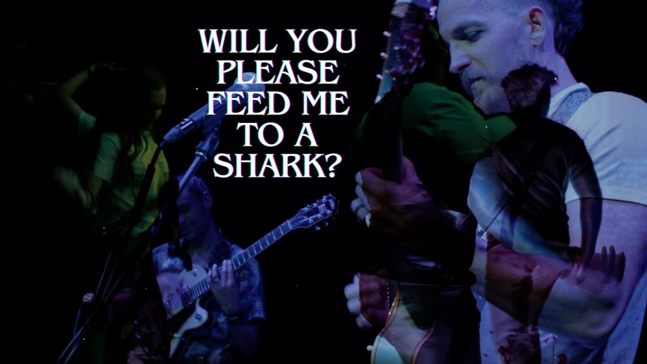 Will You Please Feed Me To A Shark? (Official Music Video) - YouTube