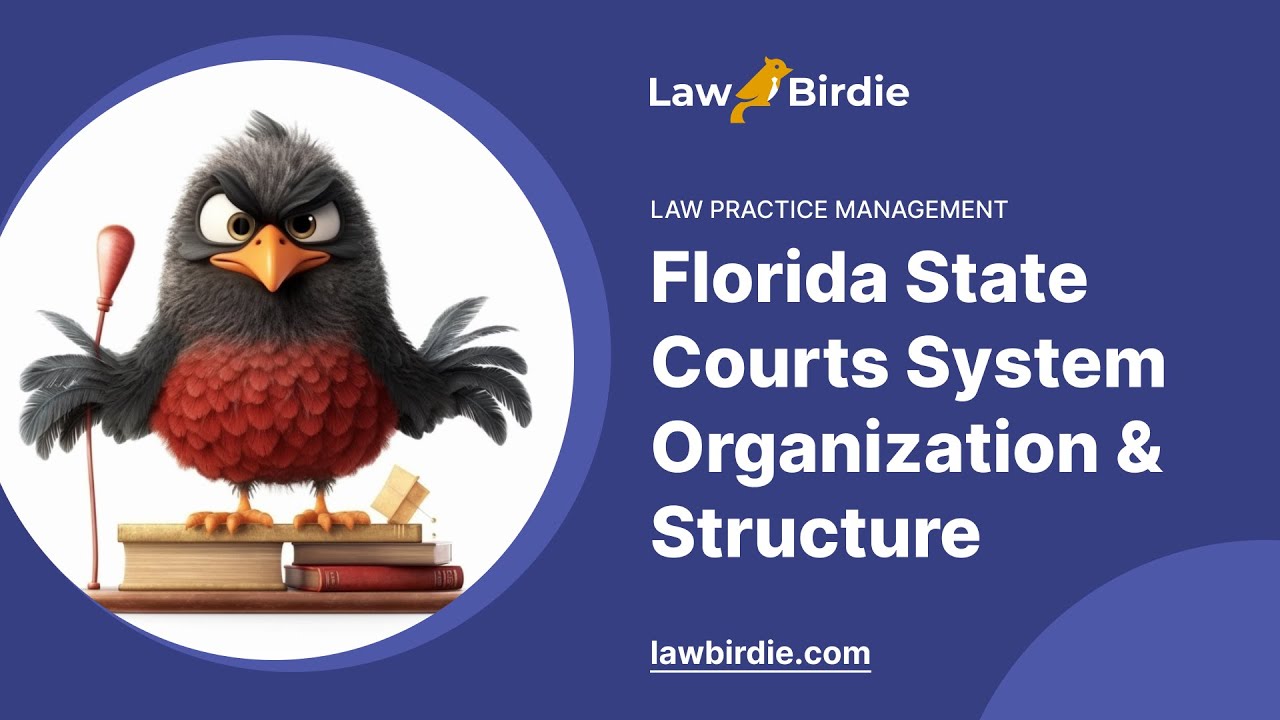 Florida State Courts System Organization & Structure - Essay Example ...