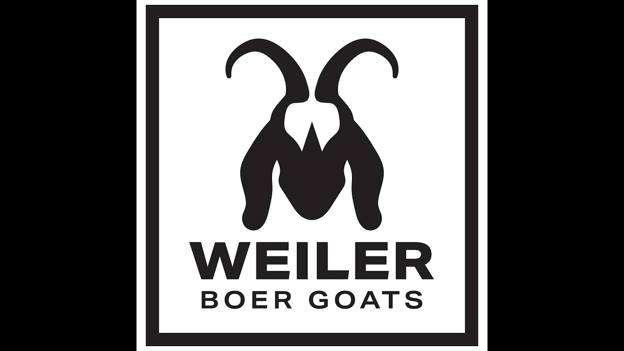 Boer Goat Nation Scholarship 2023- Kayden Weiler - YouTube