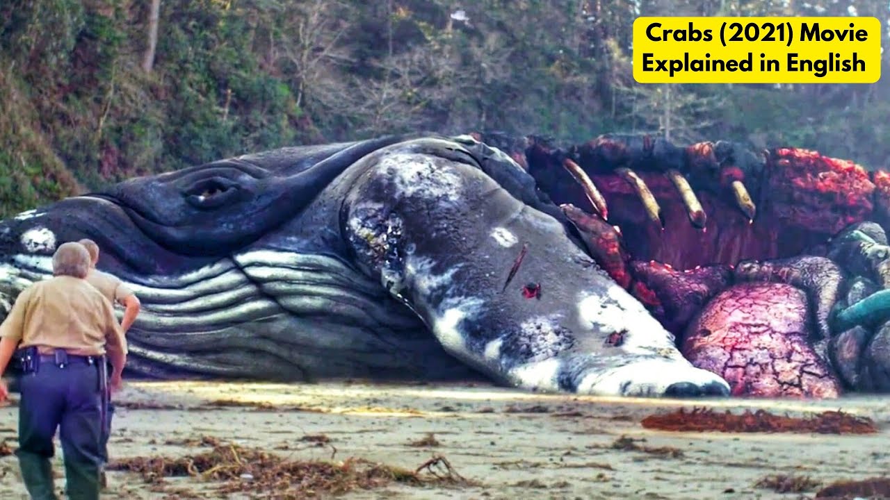 Crabs! (2021) Movie Explained in English | Crabs Ferocious Story ...