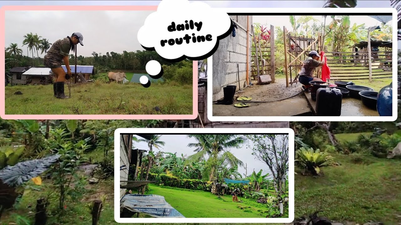 DAILY ROUTINE SA BUKID#bukidlife - YouTube