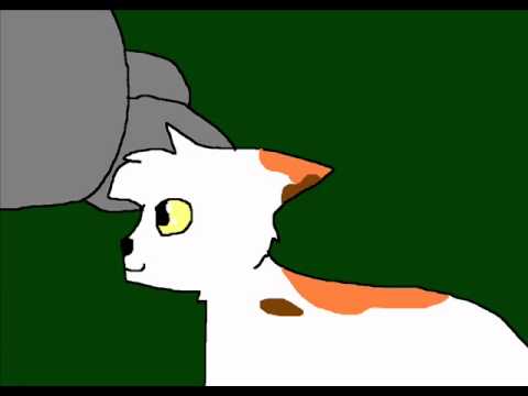 Redtail's Death Animation - YouTube