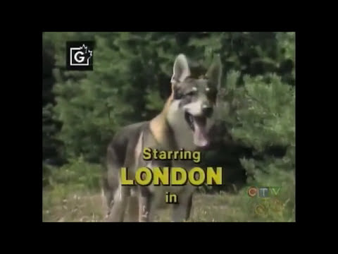 The Littlest Hobo Cultkidztv Intro - YouTube