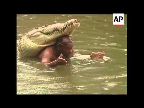 Chito, a Costa Rican fisherman, found a crocodile near death 20 years ago. He nursed him back to hea