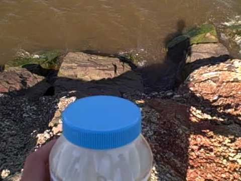 Sink of da Mayo - YouTube