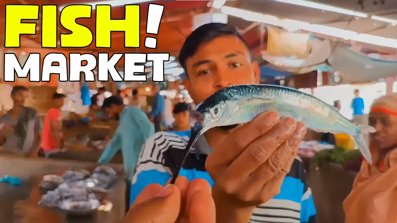 Cheapest Fish Market in Karachi - Fishing with Saleem! - YouTube