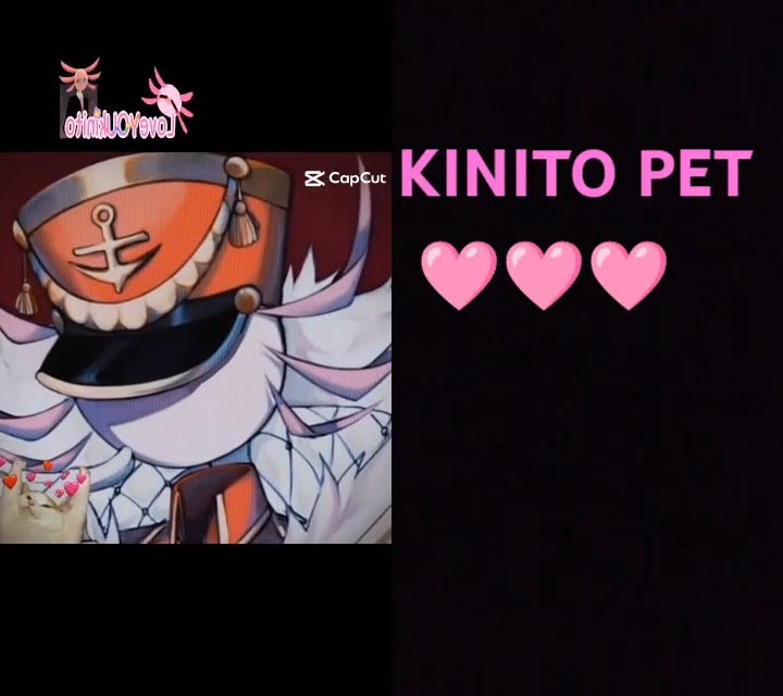 kinito pet 🩷🩷/edit - YouTube